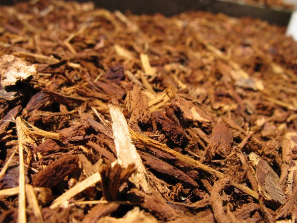 How To Maintain Mulch | Tips | Fra-Dor Landscape Supply