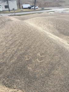 Coarse Washed Sand | Order Online | Frador Landscape Supply